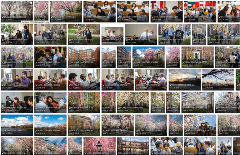 Design System - HBS Identity Guidelines | HBS Identity Guidelines